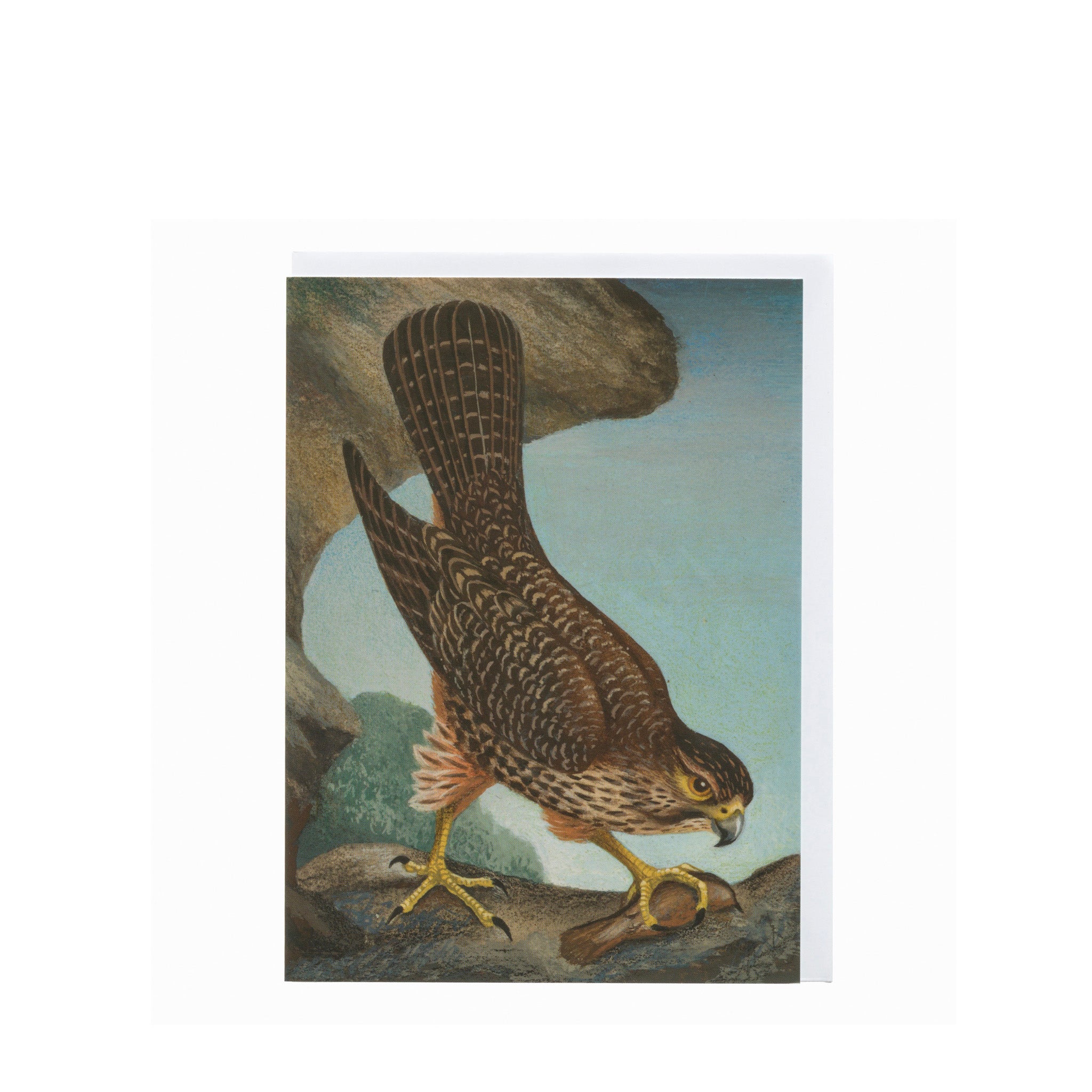 Eileen Mayo "Kārearea" Card – Christchurch Art Gallery Design Store