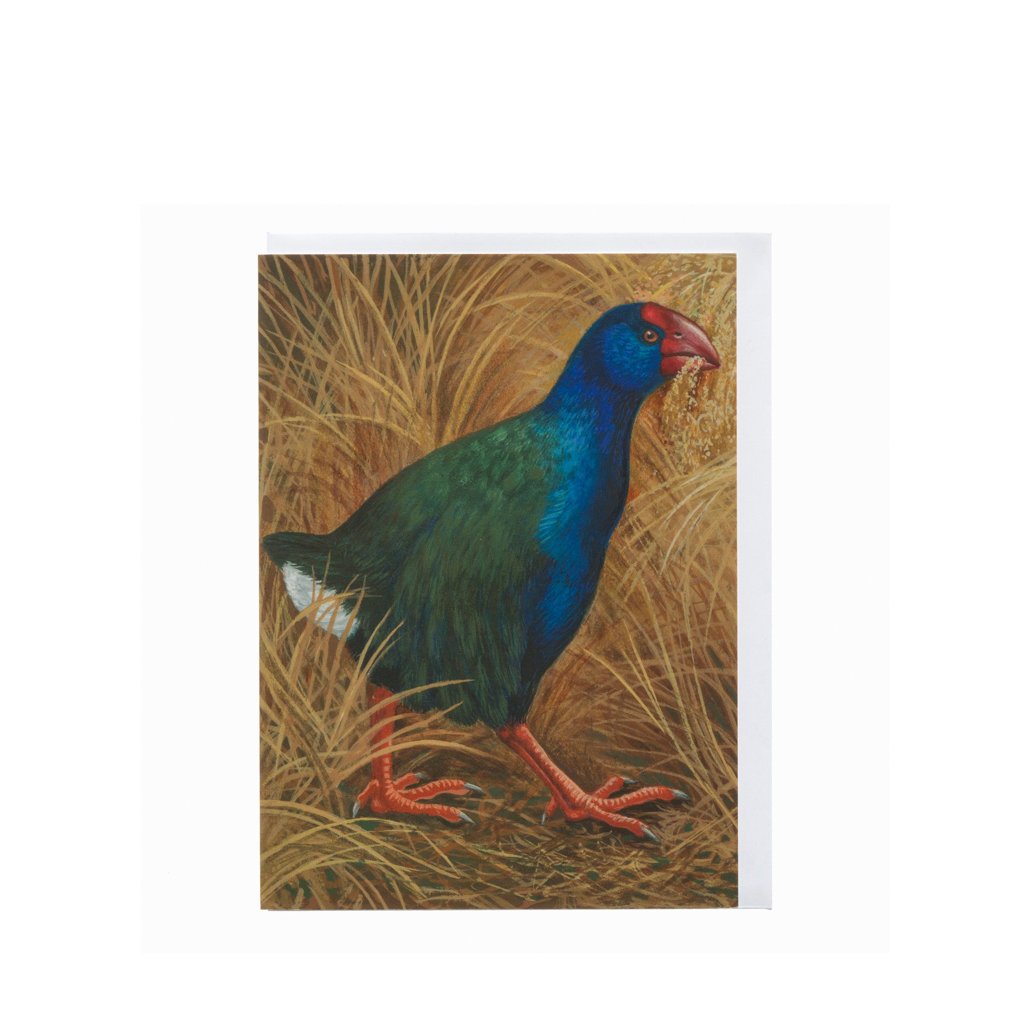 Eileen Mayo "Takahē" Card – Christchurch Art Gallery Design Store